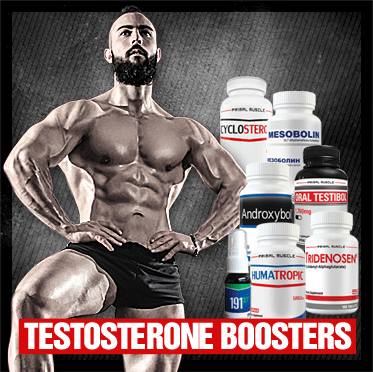 TESTOSTERONE BOOSTERS – Primal Muscle